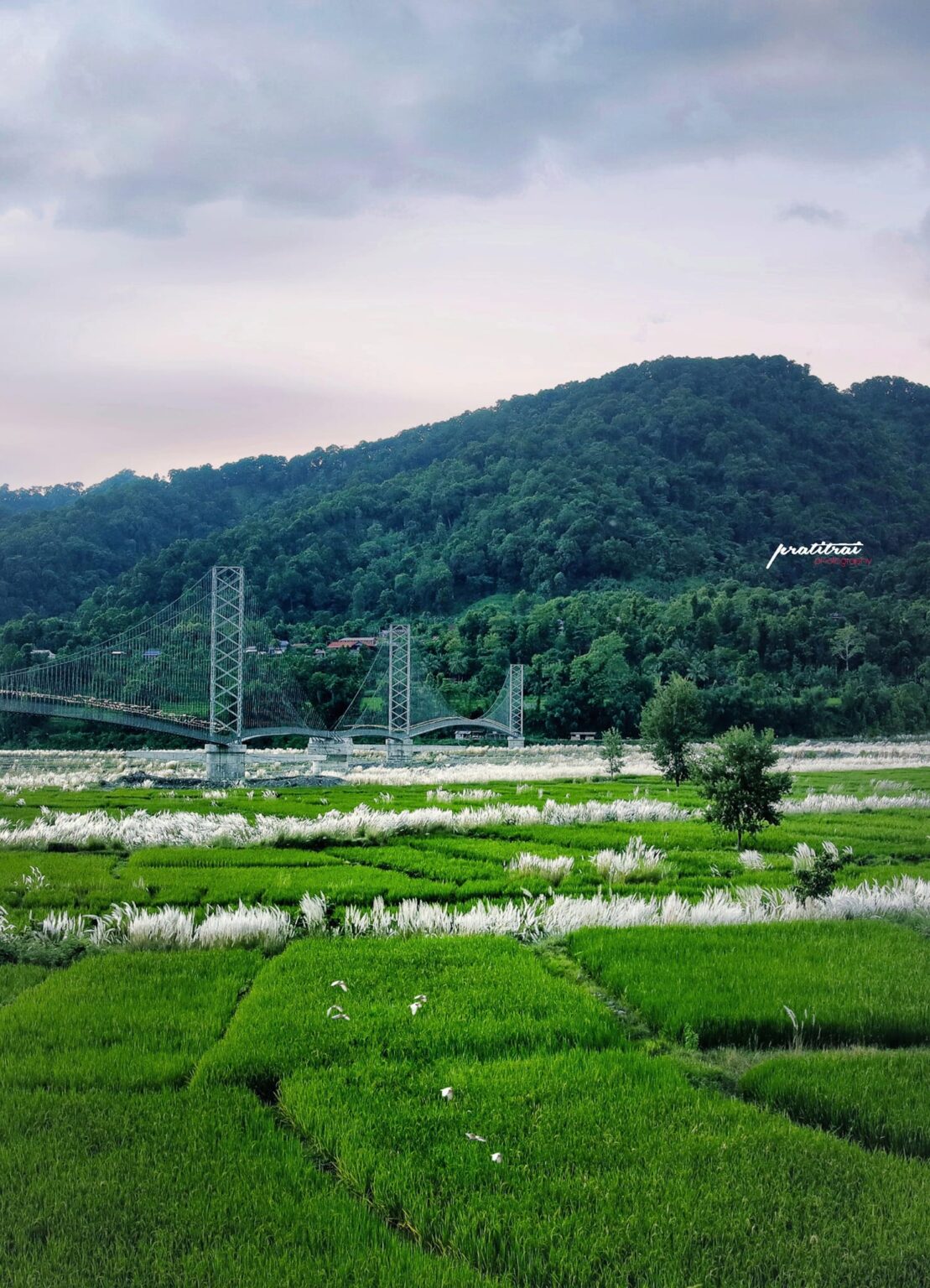 Morang District - THE SANDESH NEUPANE