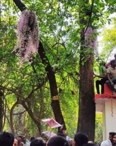 Siraha District - THE SANDESH NEUPANE