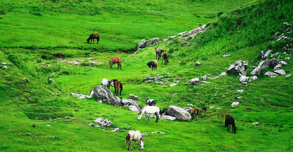 Surkhet District - THE SANDESH NEUPANE